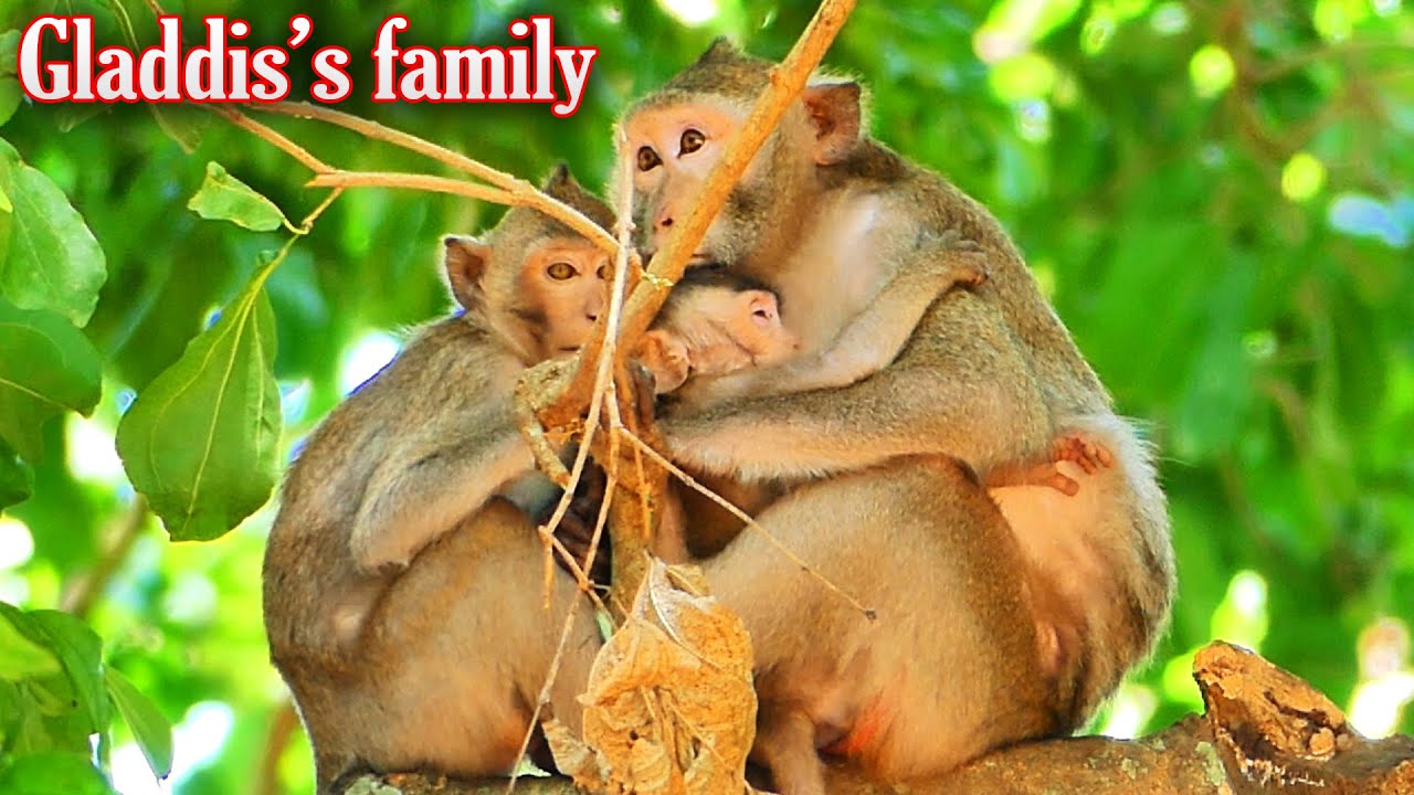 [Gianni] Warm welcome from Mother Gladdis & Sis GiGi | Buster is happy ...