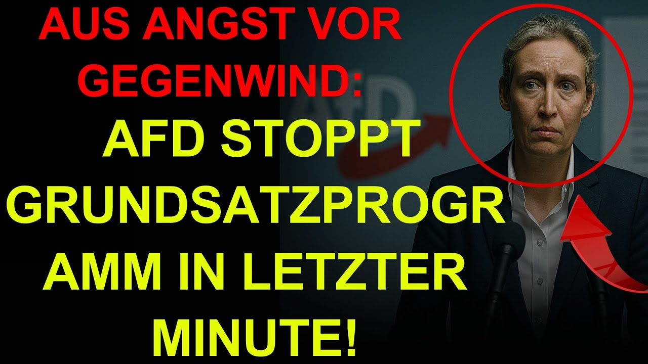 Aus Angst vor Gegenwind: AfD stoppt Grundsatzprogramm in letzter Minute ...