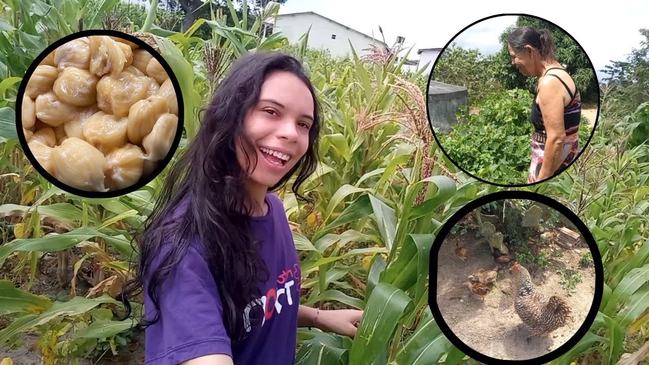 MANHÃ NO SITIO COM MAE 🏜 ️ - YouTube