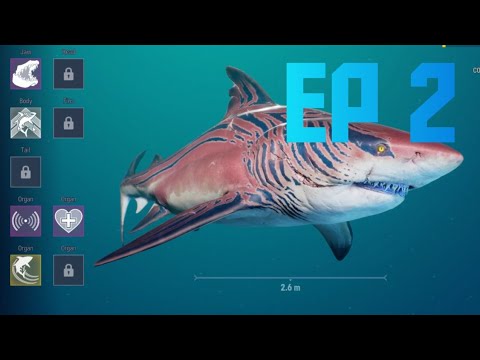 maneater ep 2 - hunting alligators - YouTube