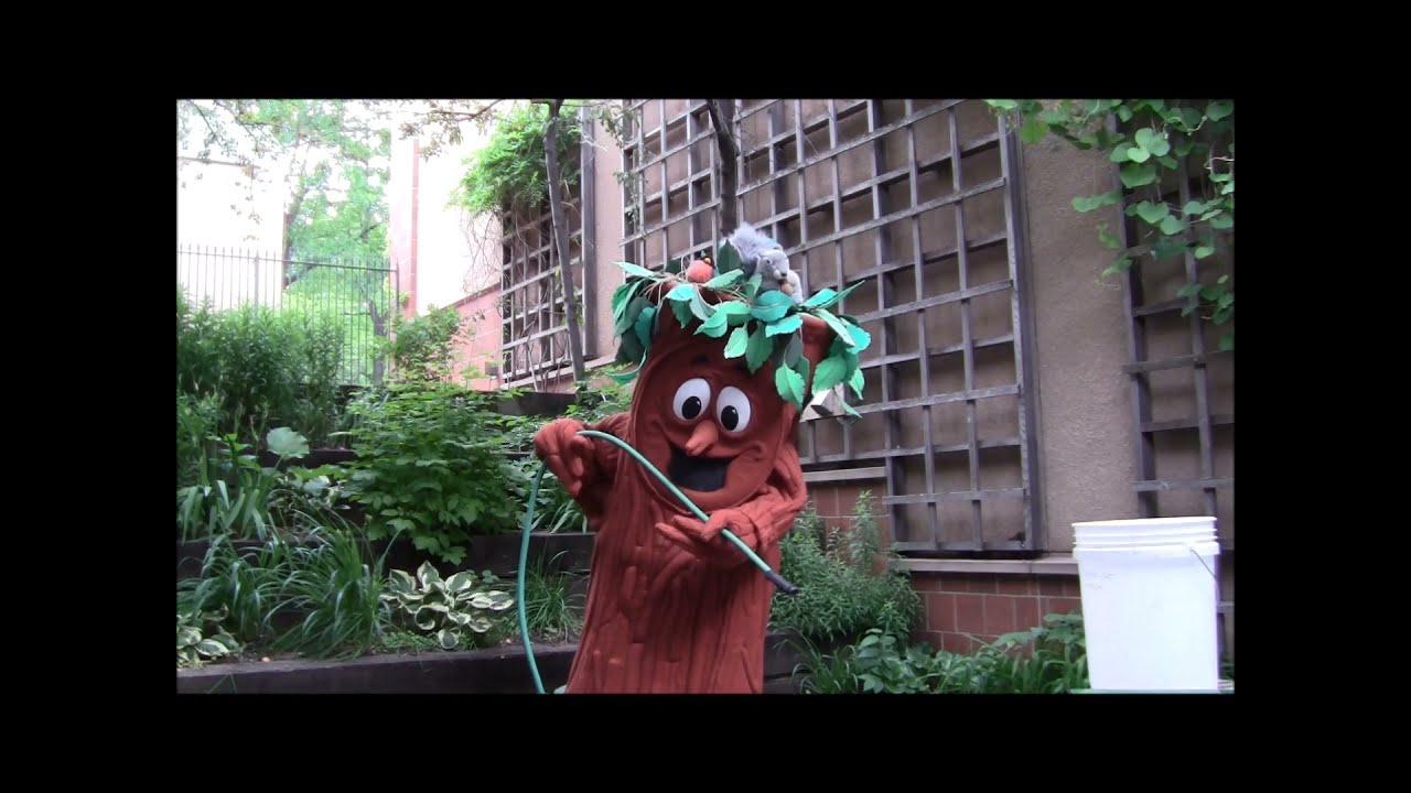 How to Water Minneapolis Trees starring Elmer the Elm Tree - YouTube