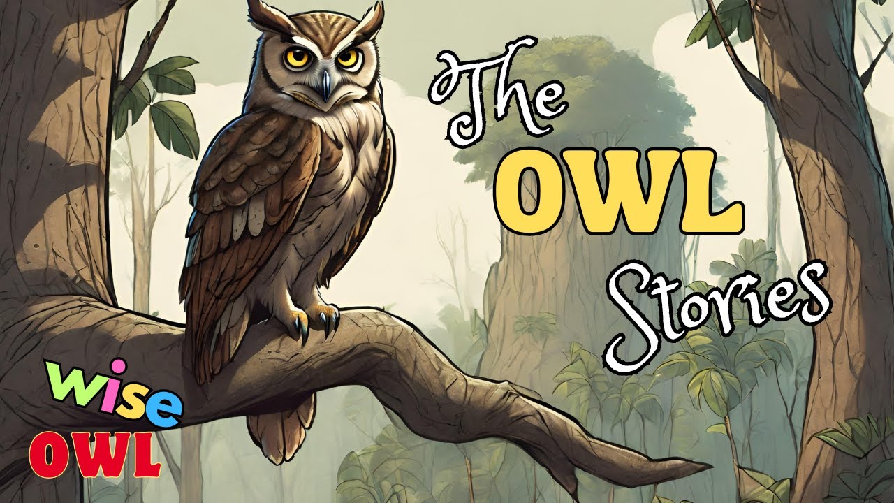 THE OWL STORY short story about owls, a wise animal - YouTube