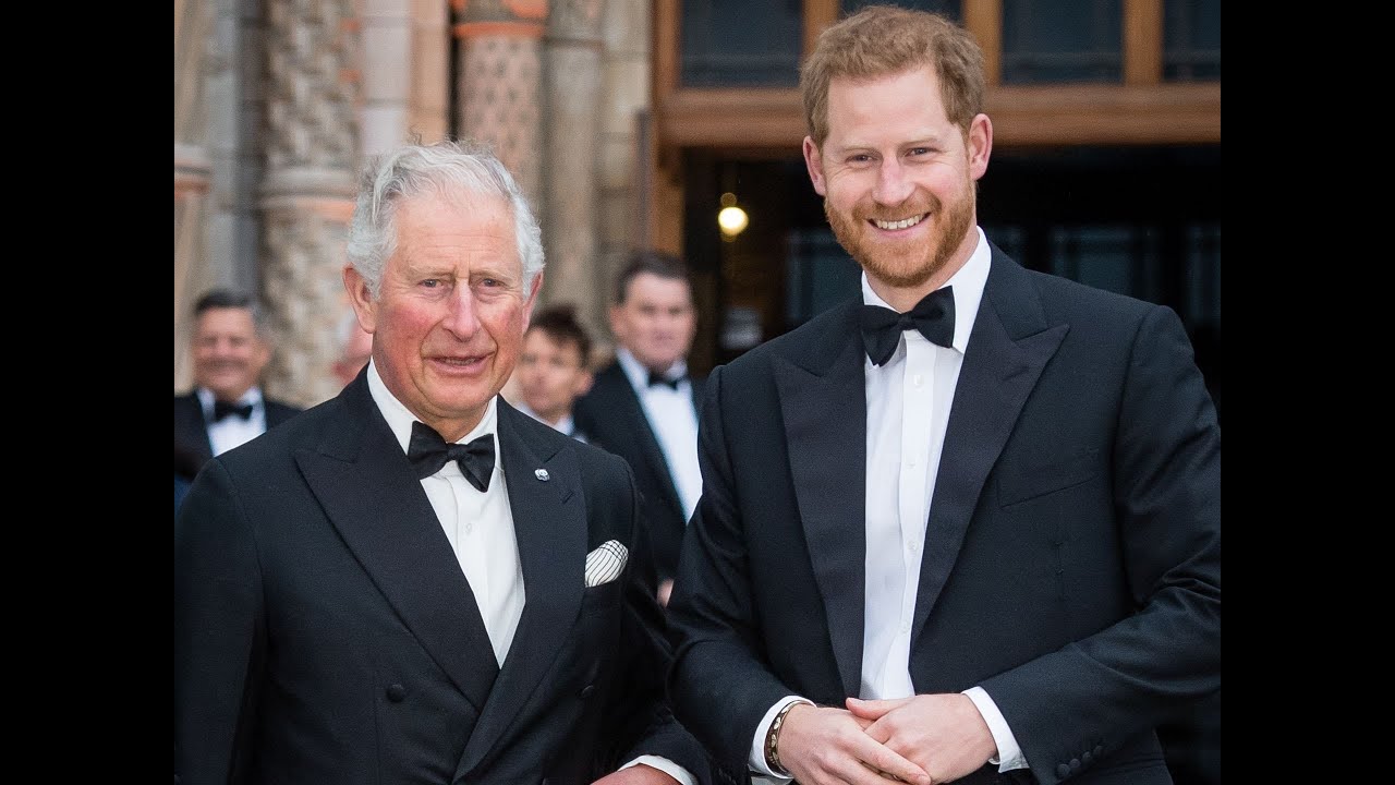 Will PrinceWill Prince Harry have to pay up to $20 million if he loses ...