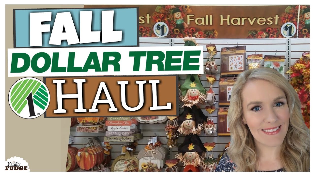 NEW Fall DOLLAR TREE HAUL || CUTE Fall Decor from the Dollar Tree - YouTube