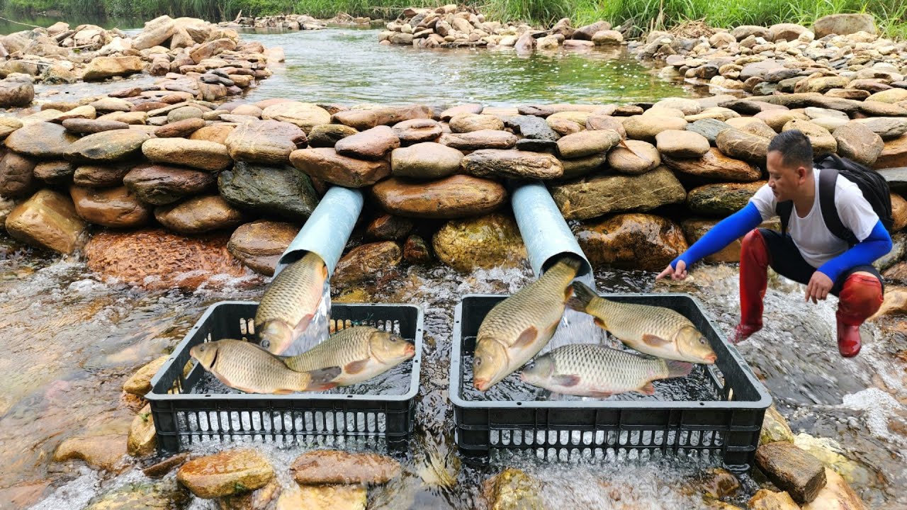 How to fish with PVC pipes. Unexpectedly caught a lot of fish in a ...