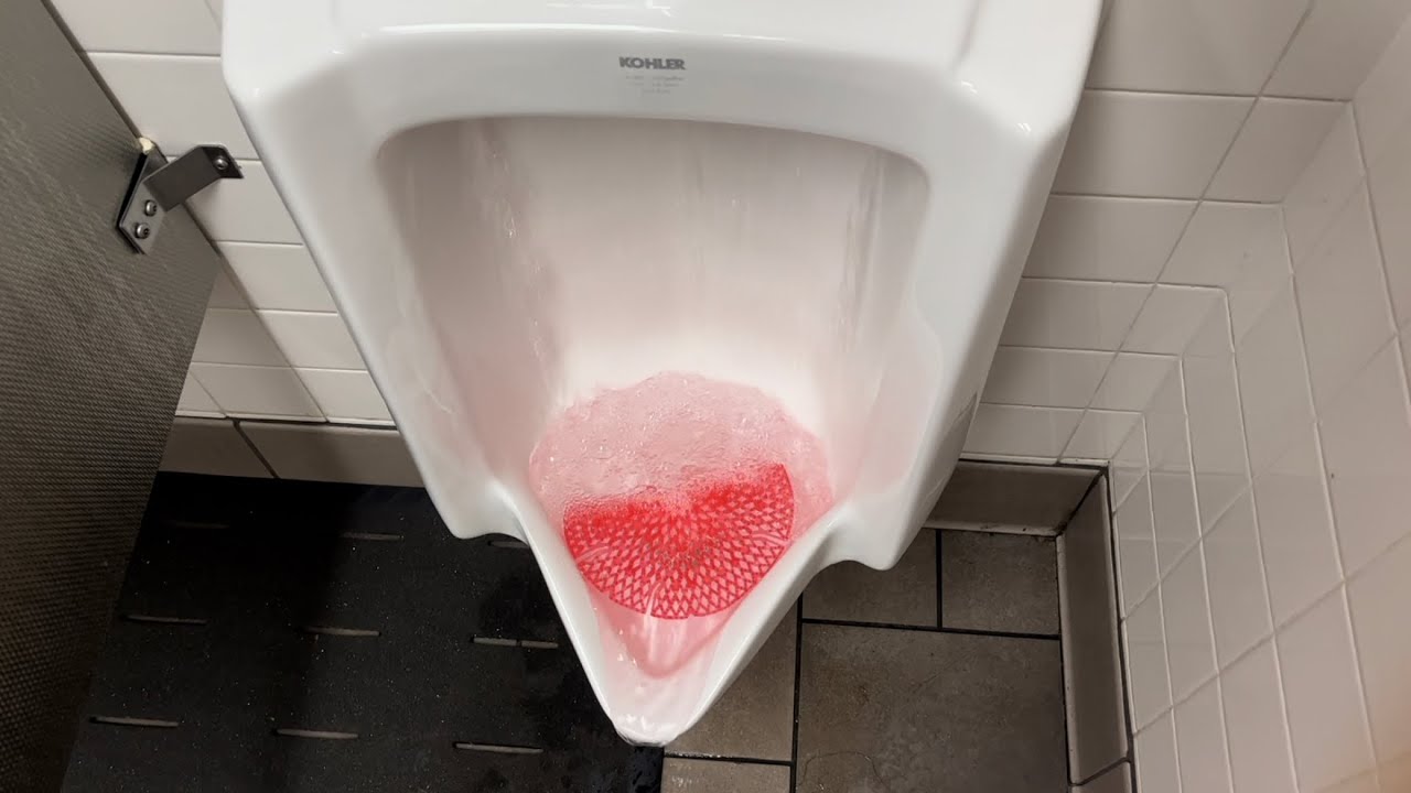 January 21, 2024: Men’s Restroom @ In N Out Burger Grand Avenue - Chino ...
