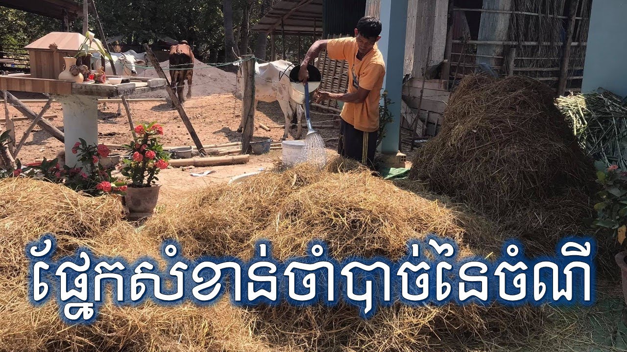 Essential Parts of Feeds | Energy - YouTube