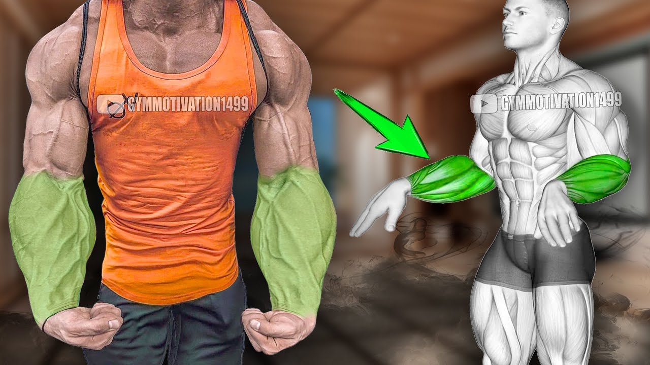 6 Effective Exercises to Get Big Forearms - YouTube