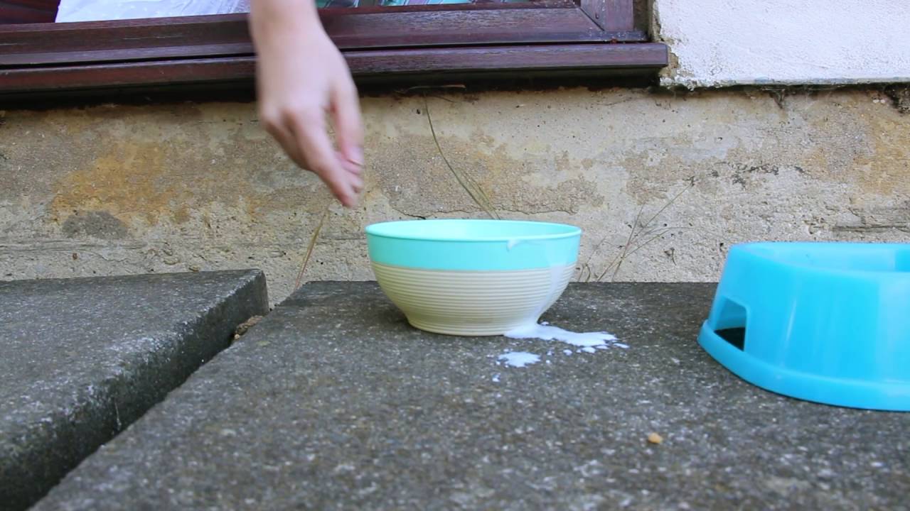 Toby - Short Film Trailer - YouTube