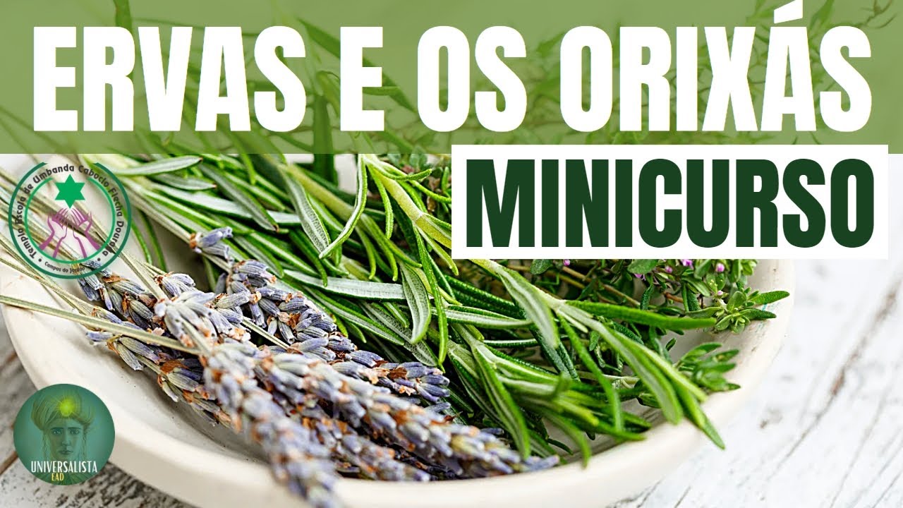 APRESENTAÇÃO DO CURSO ERVAS E OS ORIXÁS. - YouTube