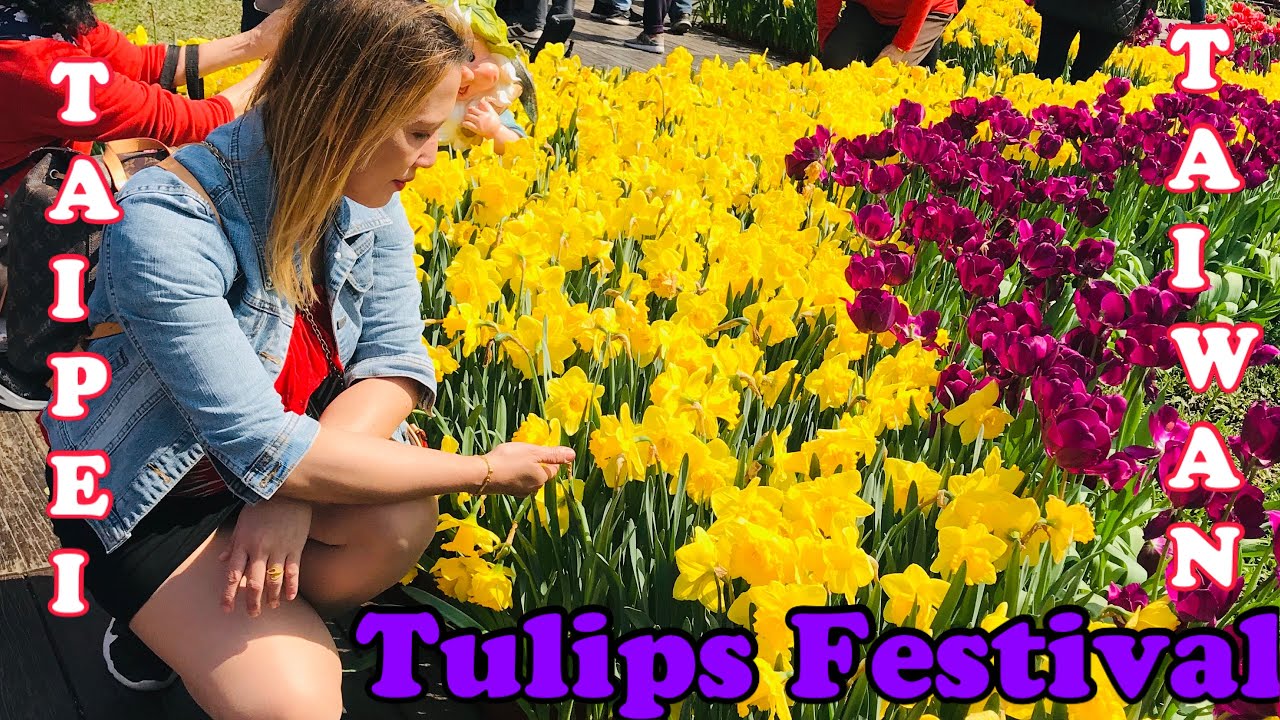 TULIPS FESTIVAL SHILIN RESIDENTIAL TAIPEI TAIWAN @lovelydadventurer # ...