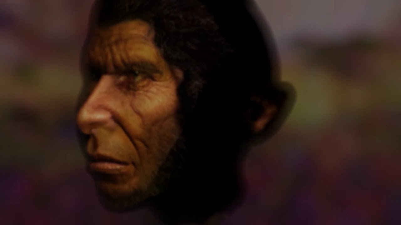 Caveman - FaceBuilder reconstruction in Blender - YouTube