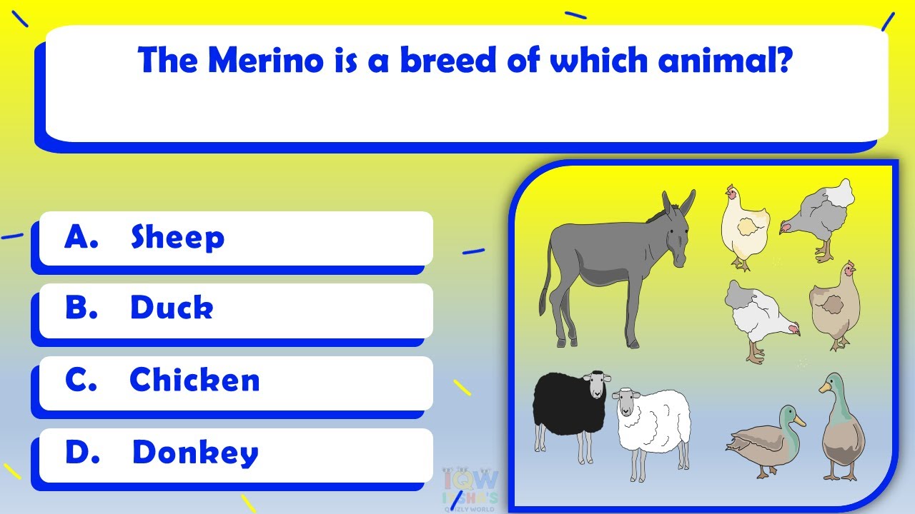 33 General Knowledge Trivia Questions To Test Your Knowledge | Can You ...