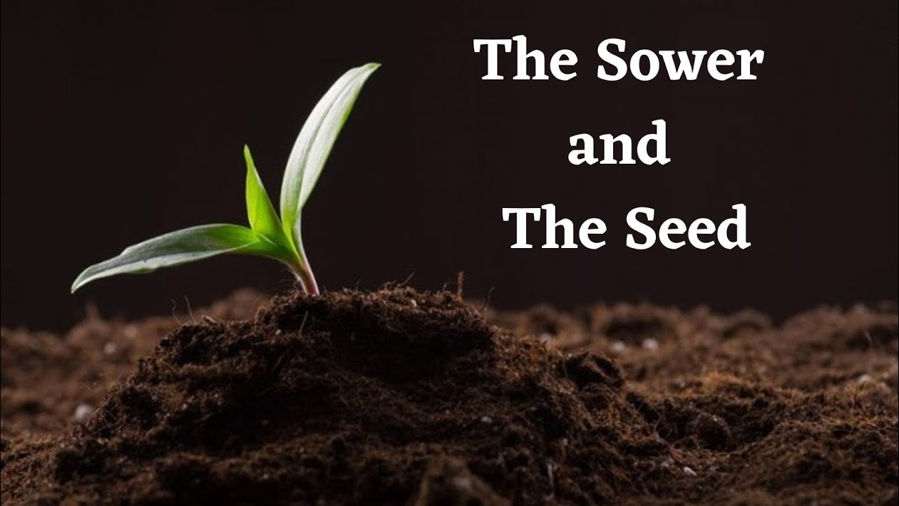 The Sower and The Seed - YouTube