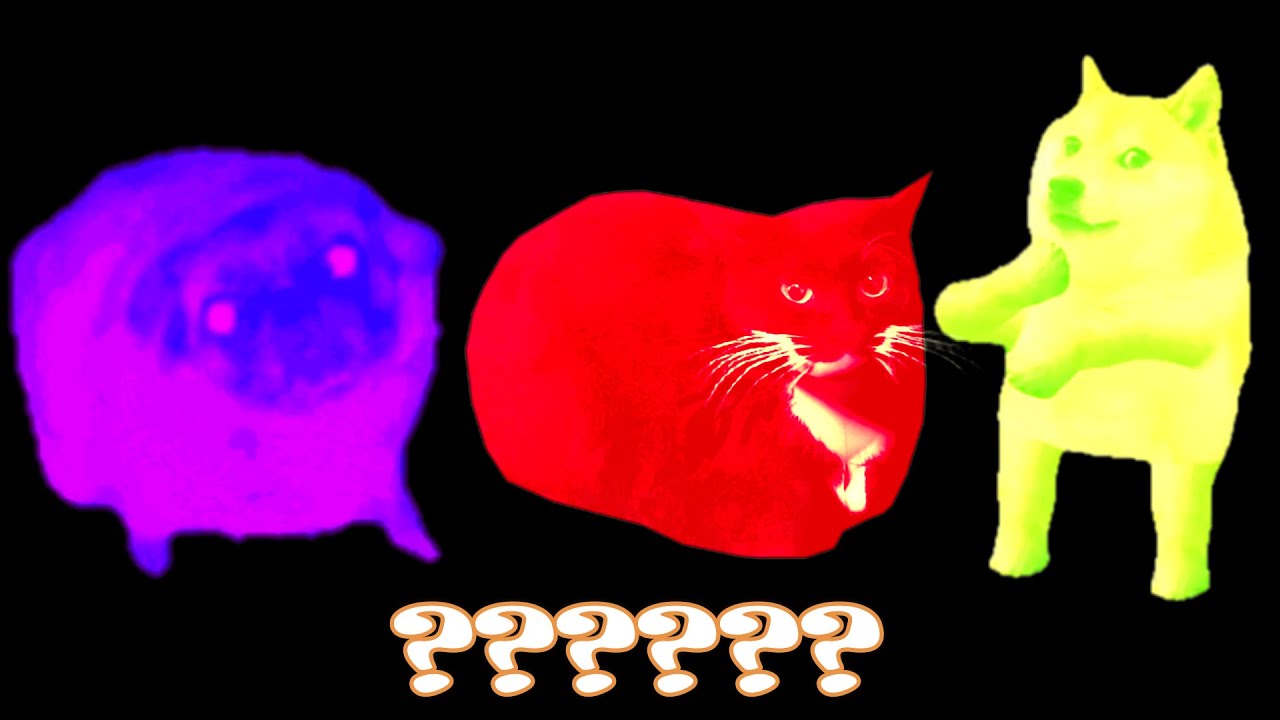 6 "Maxwell The Cat and Pug and Doge Dancing" Sound Variations In 39 ...