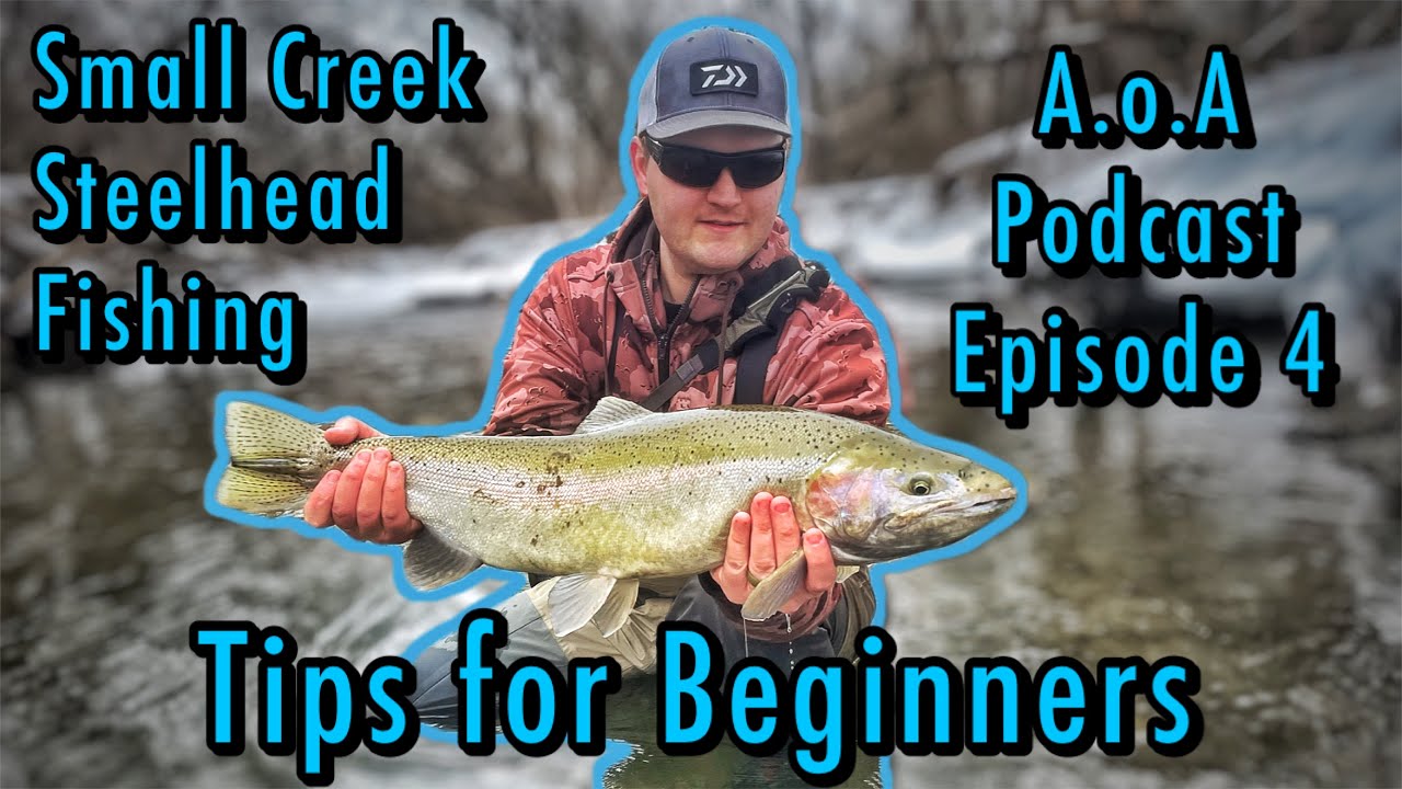 Small Creek Steelhead Fishing Basics -Average Ontario Anglers Podcast ...