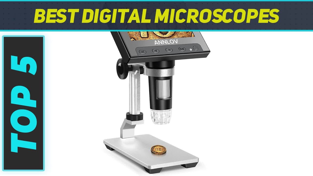 Top 5 Best Digital Microscopes in 2024 - YouTube