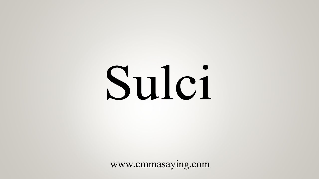 How To Say Sulci - YouTube