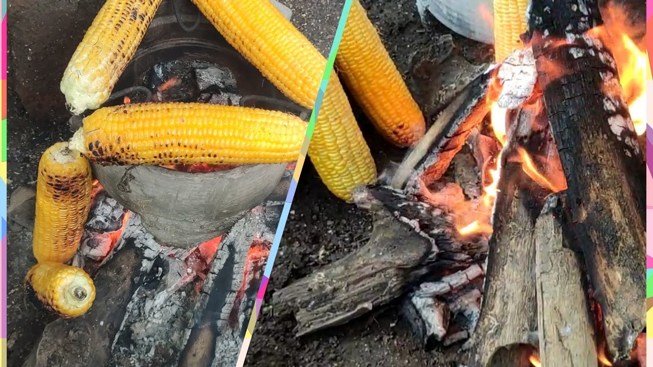 How to roast corn at home in wood fire | Corn roast | Sweet Corn - YouTube