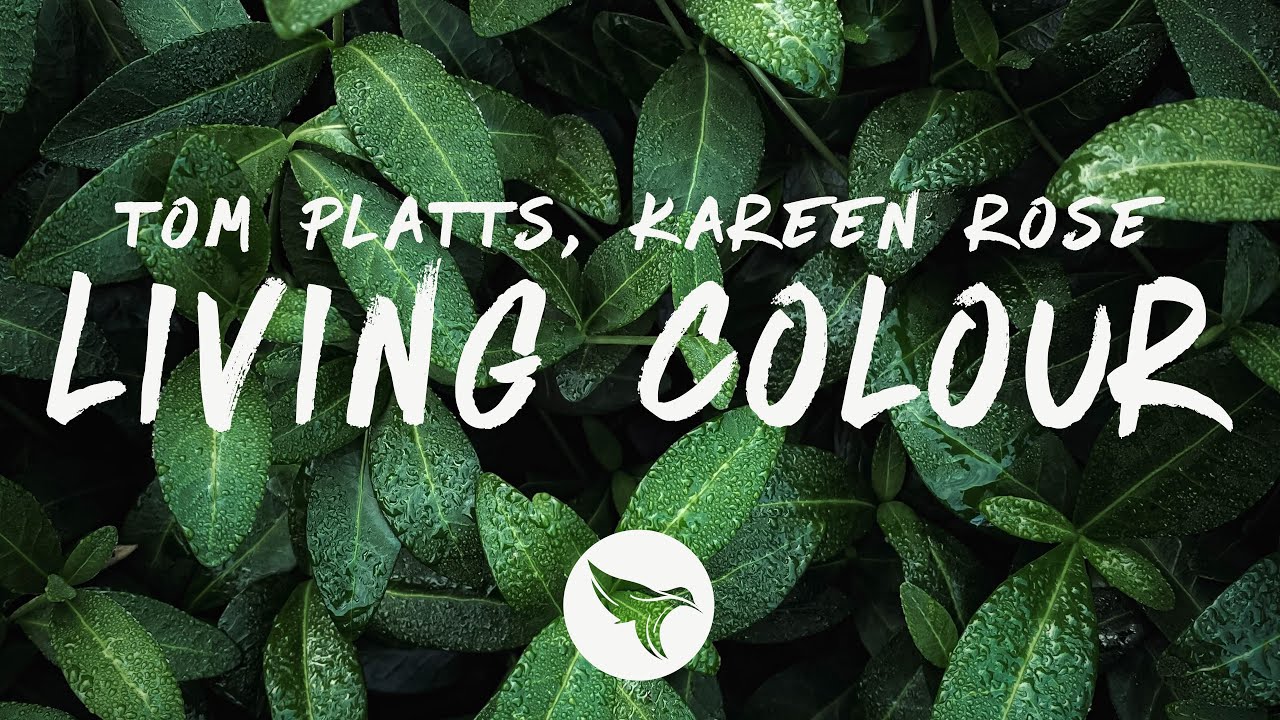 Tom Platts - Living Colour (Lyrics) feat. Kareen Rose - YouTube