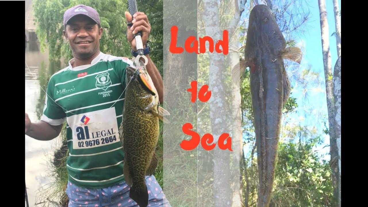 Macintyre Murray Cod to Macleay River Flathead, from Land to Sea - YouTube