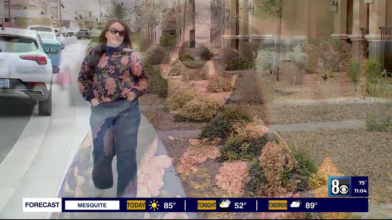 Surgery nightmare: Las Vegas hospital admits mistake after 8 News Now ...