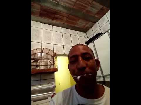 Papa capim dos meus sonhos - YouTube