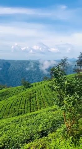 Attamala view point | അട്ടമല വ്യൂ പോയിന്റ് - YouTube