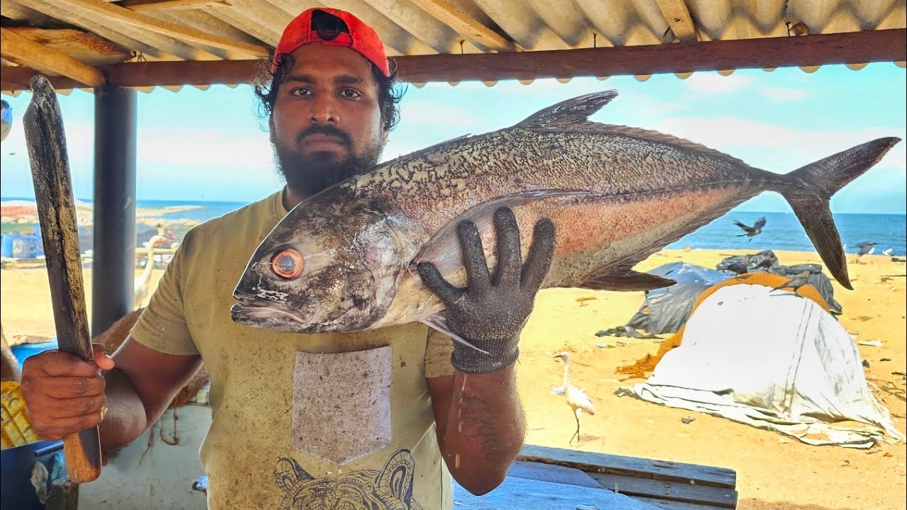 Huge Trevally Fish Fastest Cutting Skill | Trevally Fish Cutting Videos ...