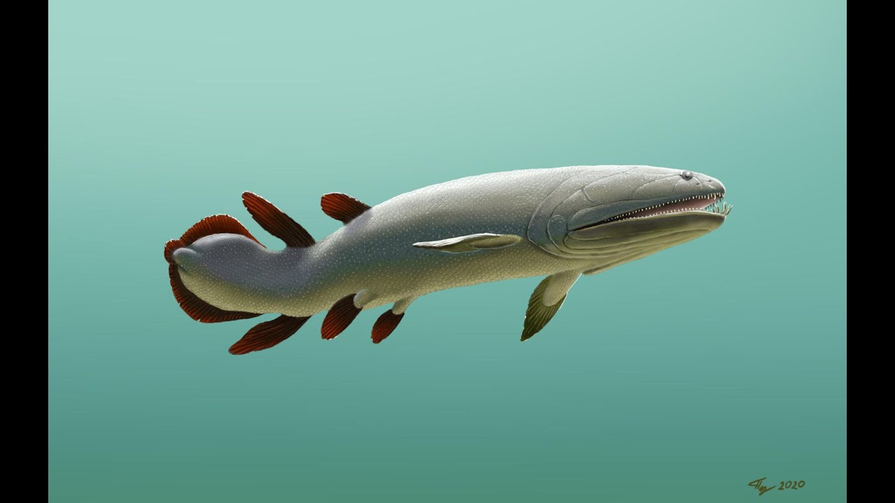 Tribute to Onychodus - YouTube