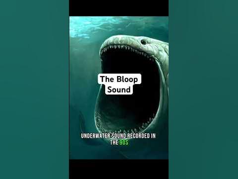 The Bloop Sound Iceberg Explained - YouTube