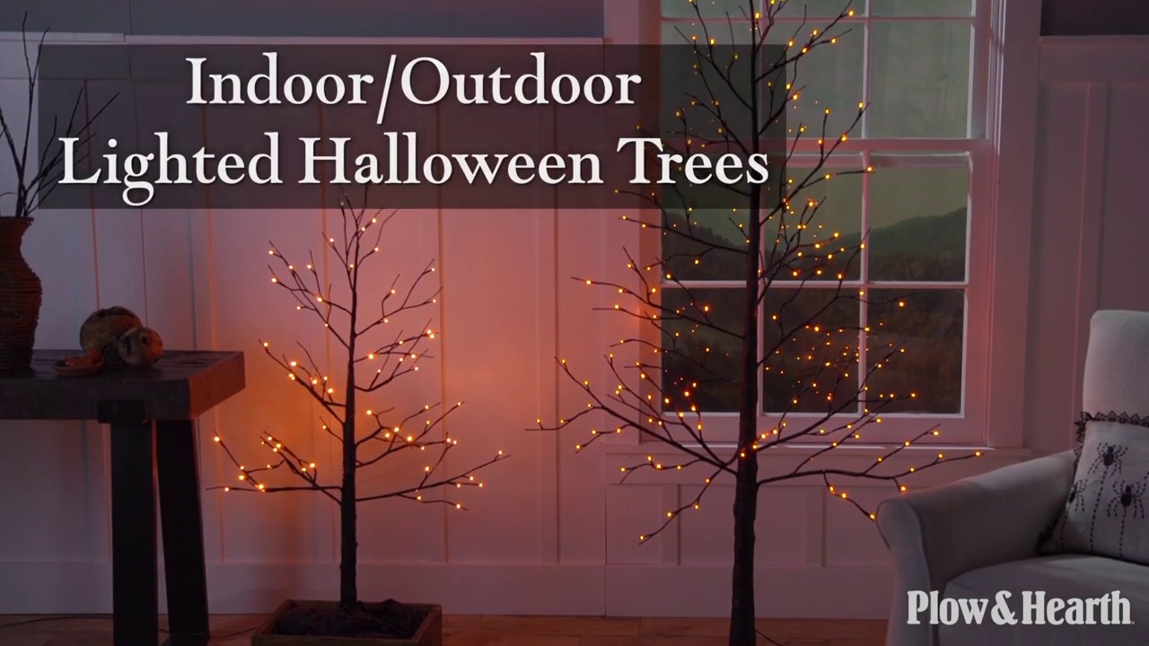 Indoor/Outdoor Lighted Halloween Trees - YouTube