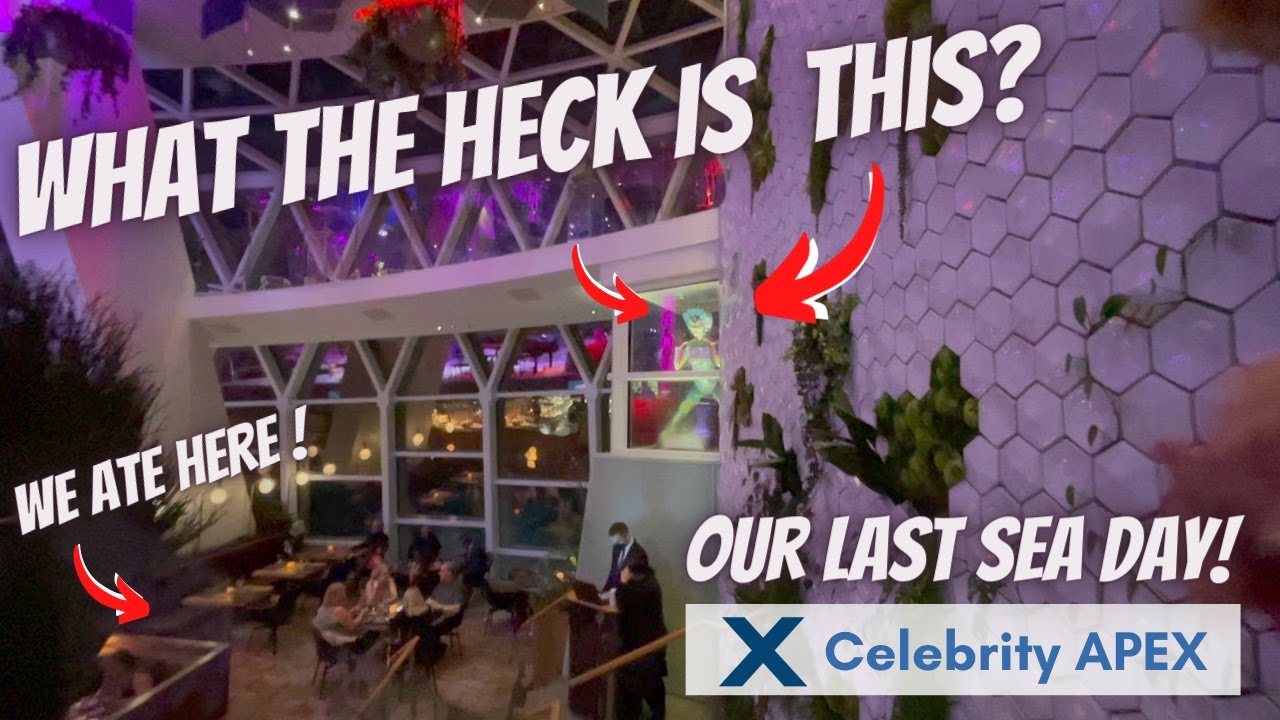 CELEBRITY APEX eden restaurant. last sea day / secret spot - YouTube