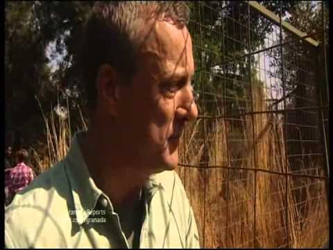 Wild at Heart - BEHIND THE SCENES - Granada Report - Stephen Tompkinson - YouTube