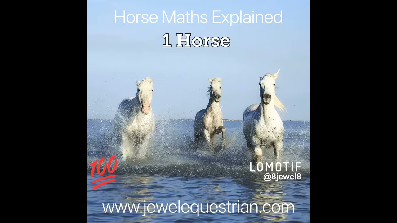 Horse Maths Explained YouTube horse-maths-explained-youtube
