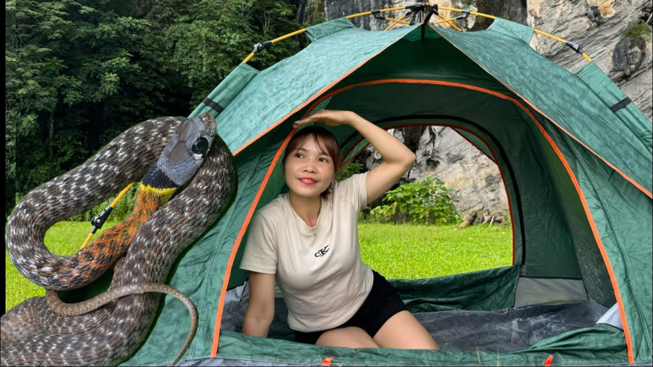 ⁠Camping Girl Encounters a Snake. Relaxing Outdoors . Asmr @CampingCaBo ...