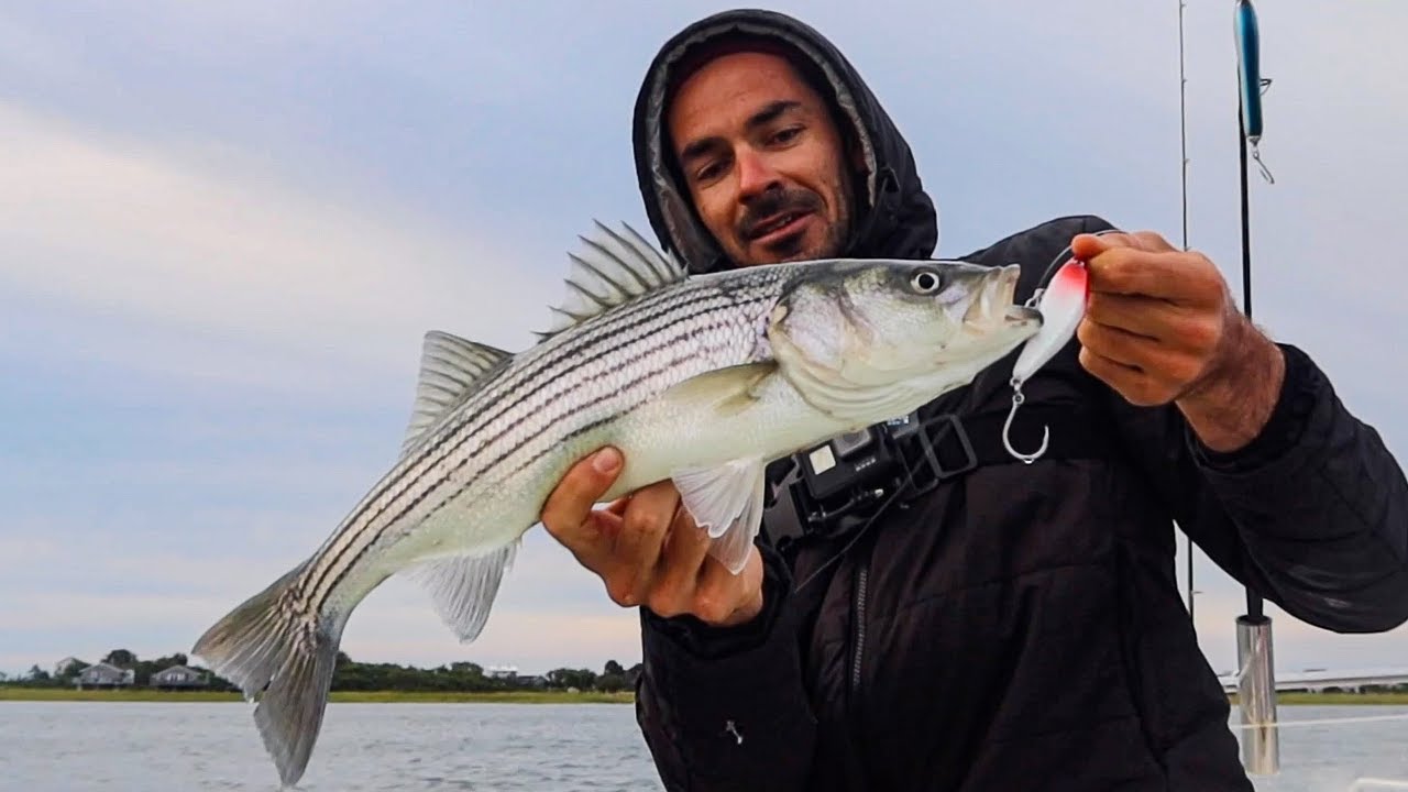 TOP Secret Lure for Striped Bass - YouTube