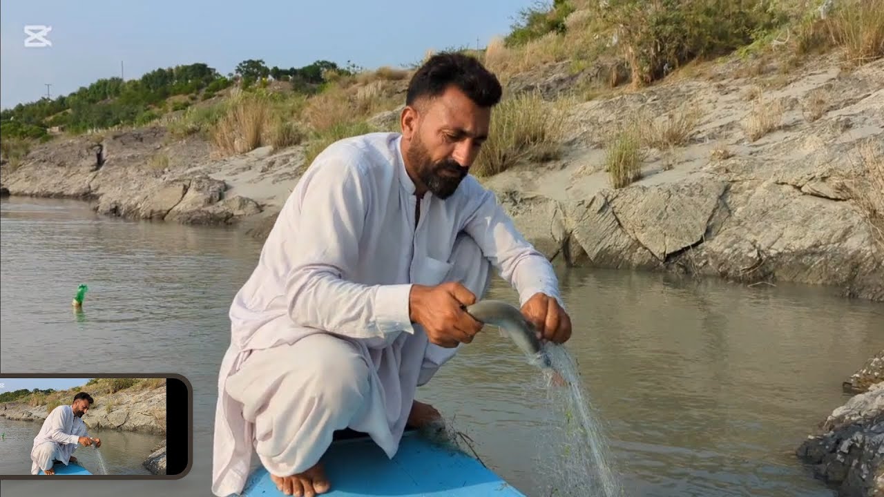 Snow Trout|Sher Mahi|Dhaiee Fish|Net|Cat Fish Hunting|Fishing|Pakistan ...