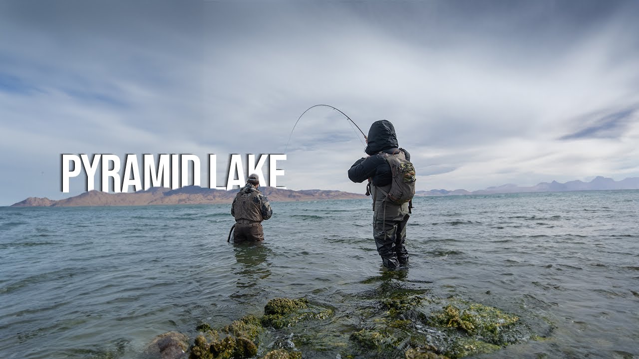 Fly Fishing Pyramid Lake: Land of the Giant Lahontan Cutthroat Trout! - YouTube