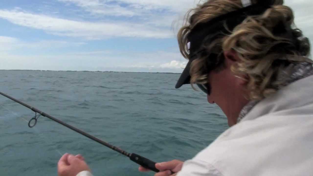 RTFS - Patch Reef Mixed Bag - YouTube