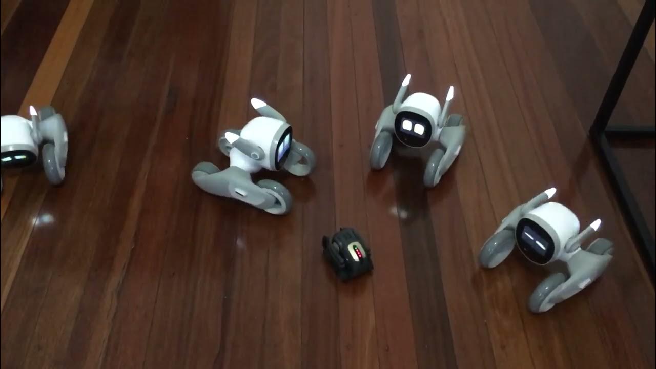 4 Playful Loona Robots React To Vector - YouTube