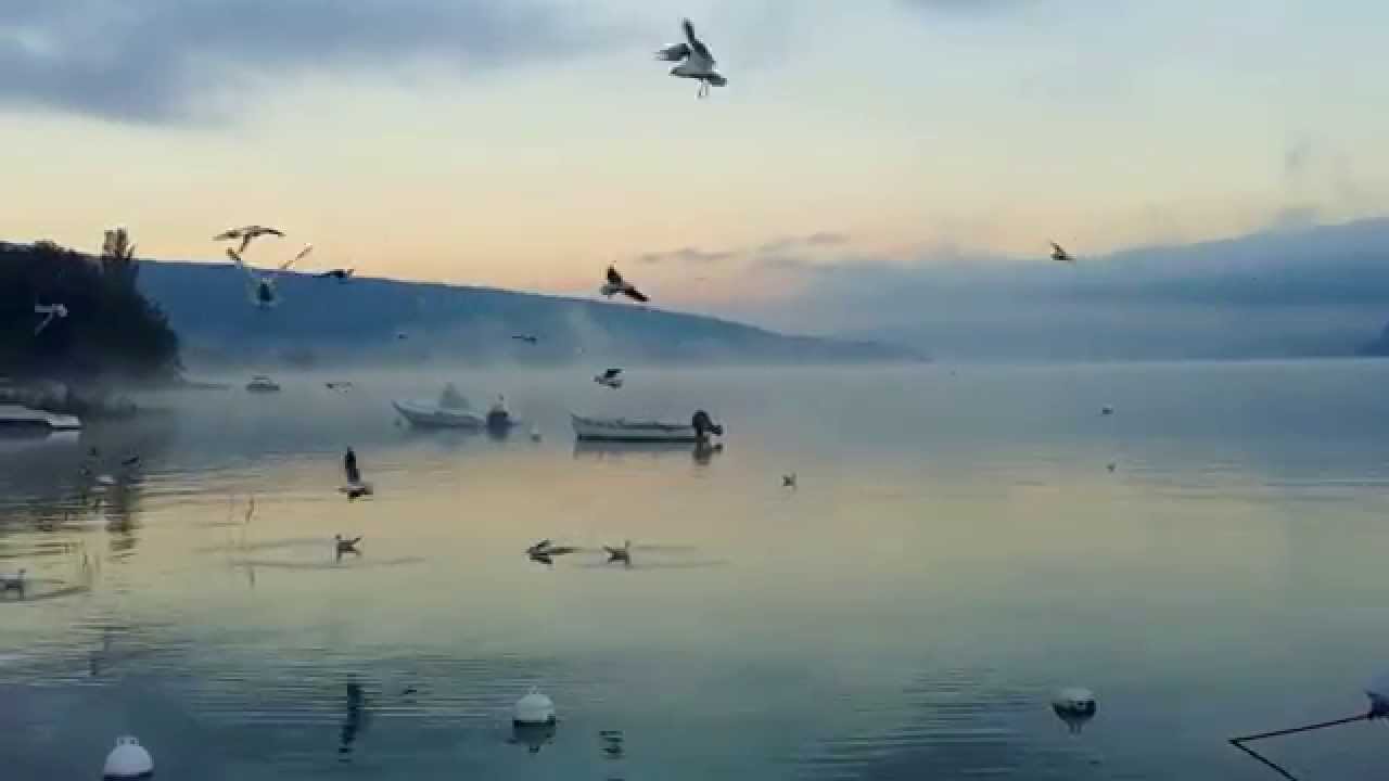 Brume sur le Lac d'Annecy - Matin d'automne - YouTube