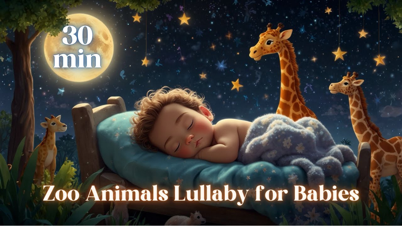 Zoo Animals Lullaby for Babies 💤 Soothing Sleep Music with Cute Animal ...