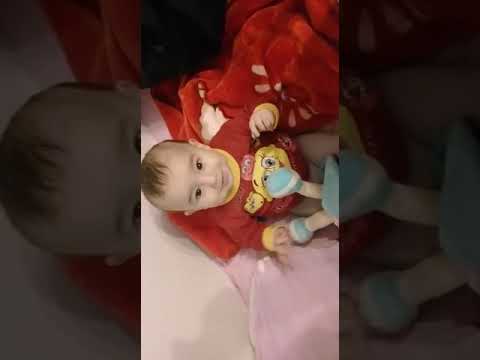 Aylin Memmedova 2017