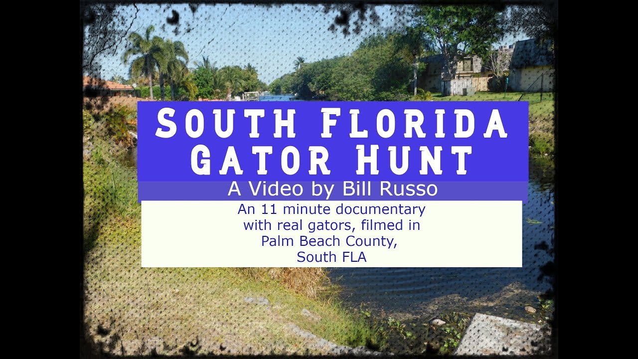 Gator Hunt in a Murky SO FLA Canal - by Bill Russo - YouTube