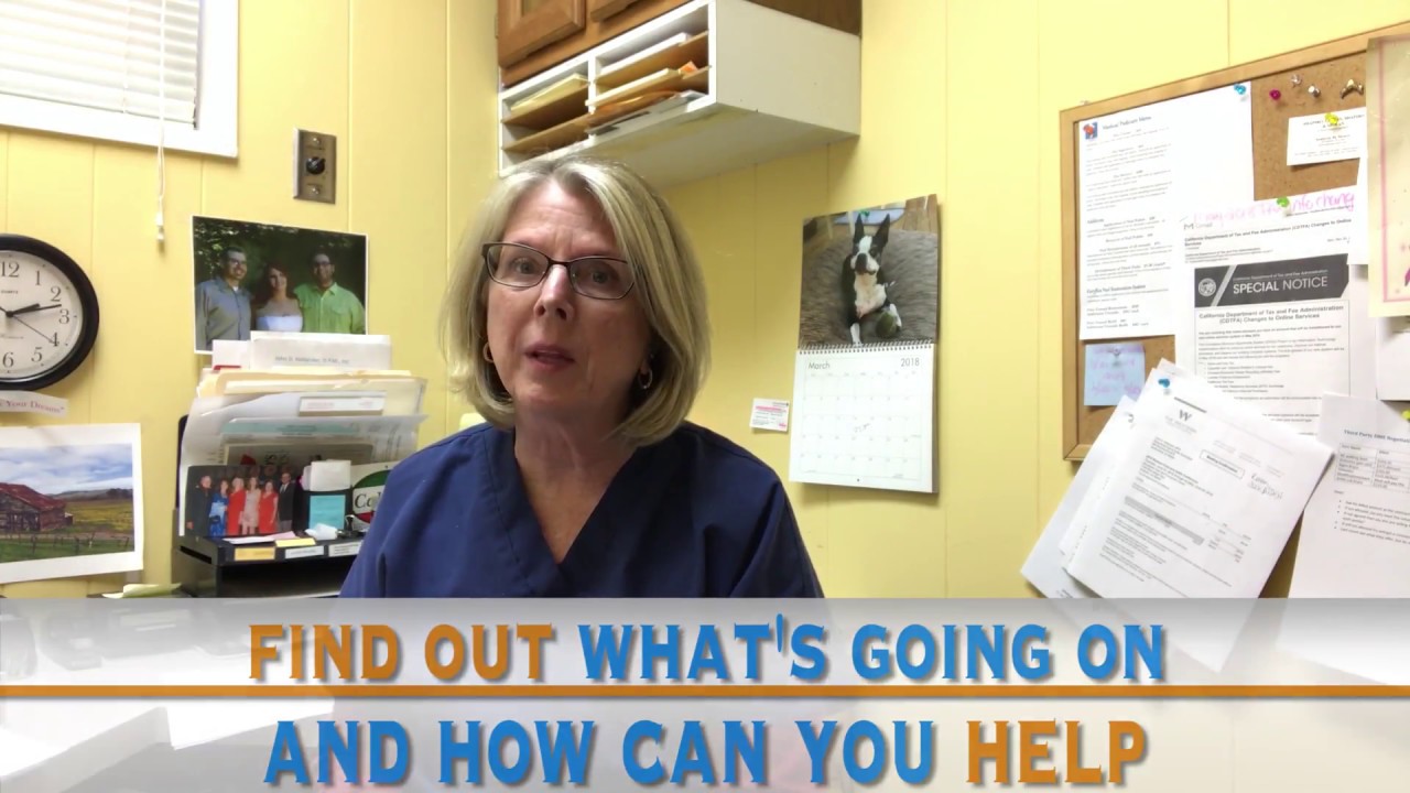 Walkabout Managers - YouTube