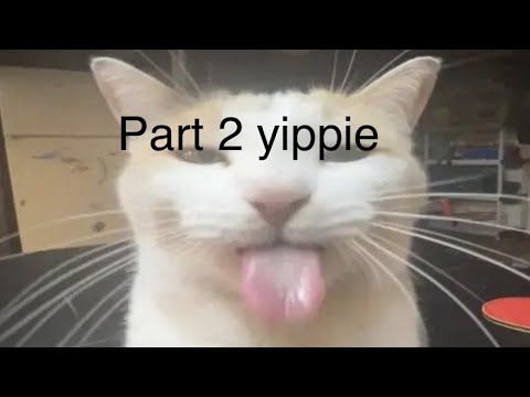 Funniest messages in slashest server part 2 - YouTube