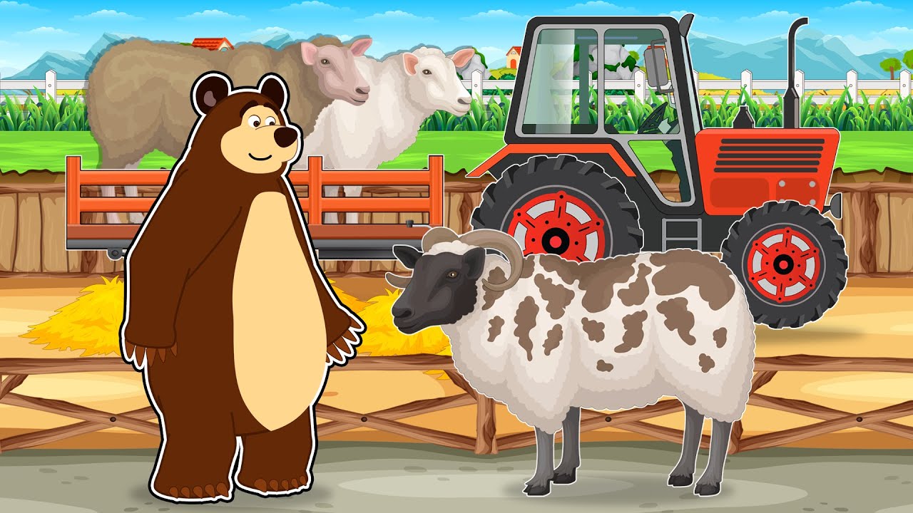 Farmer Hard Working: Tractor use of a trailer for transporting Sheep to ...