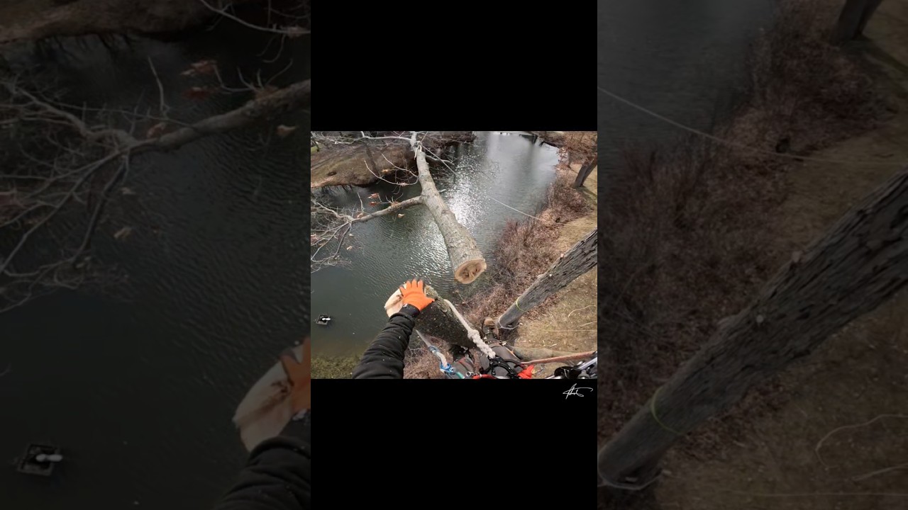 Double Daisy Chain Rigging #treework #climbing - YouTube
