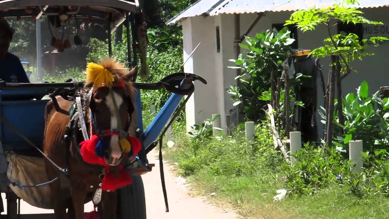 ギリ・アイルのチドモ（馬車） CIDOMO（Horse-drawn vehicle） Gili Air Indonesia Lombok ...